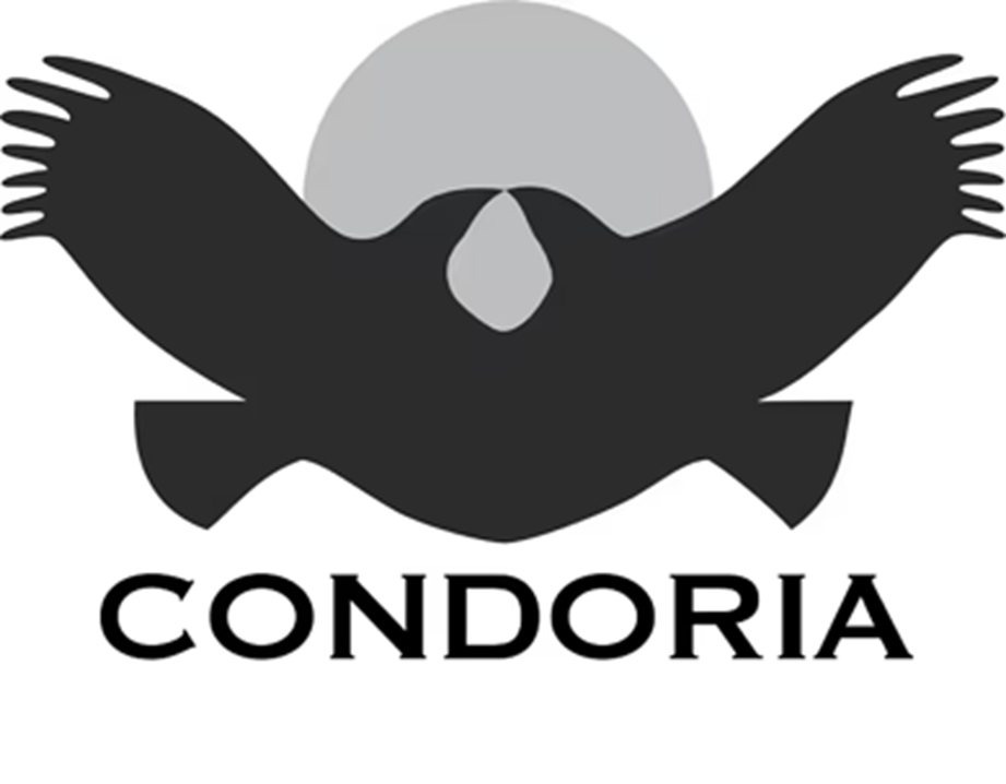 Condoria Productions - A New Human Story